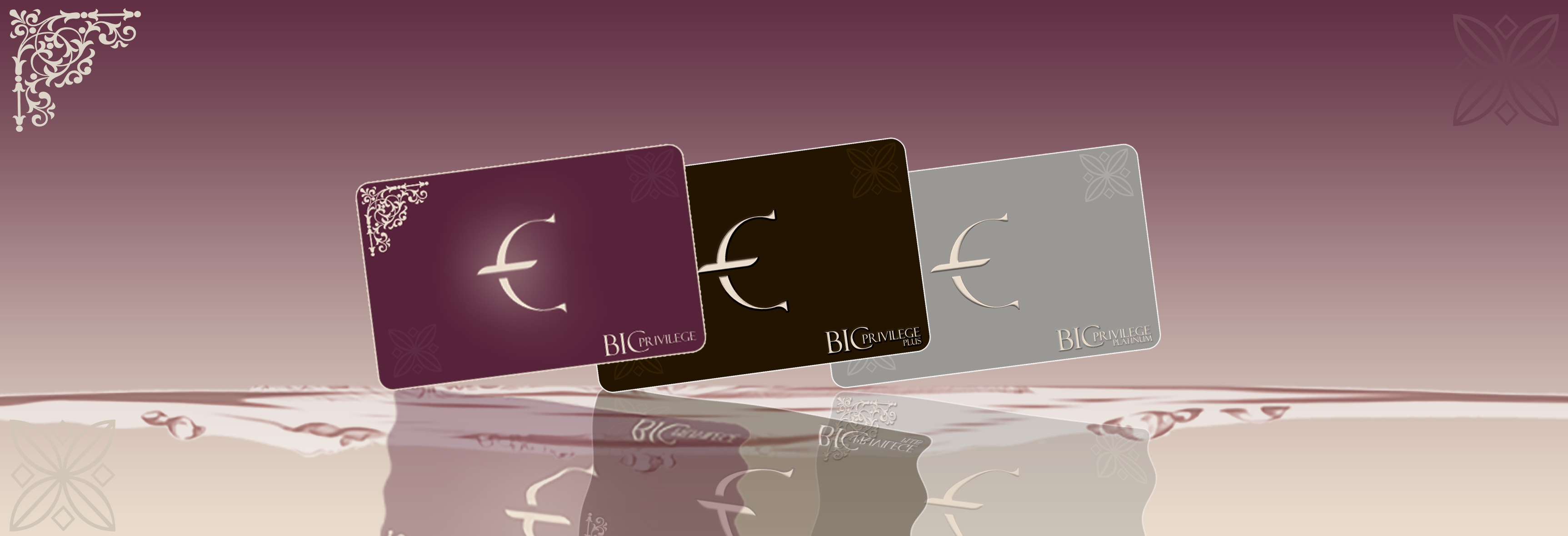BicPrivilege | Exclusive Privilege Cards for Local Establishments